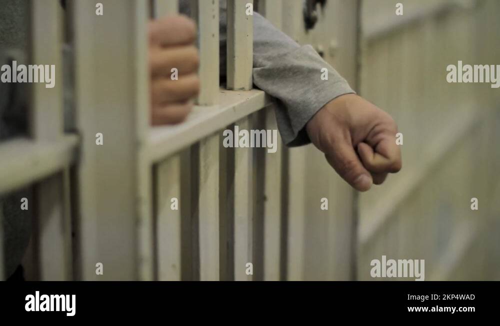 Hand into cage Stock Videos & Footage - HD and 4K Video Clips - Alamy