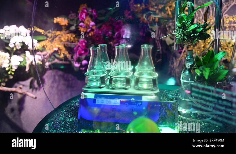 Green laboratory sustainability Stock Videos & Footage - HD and 4K ...