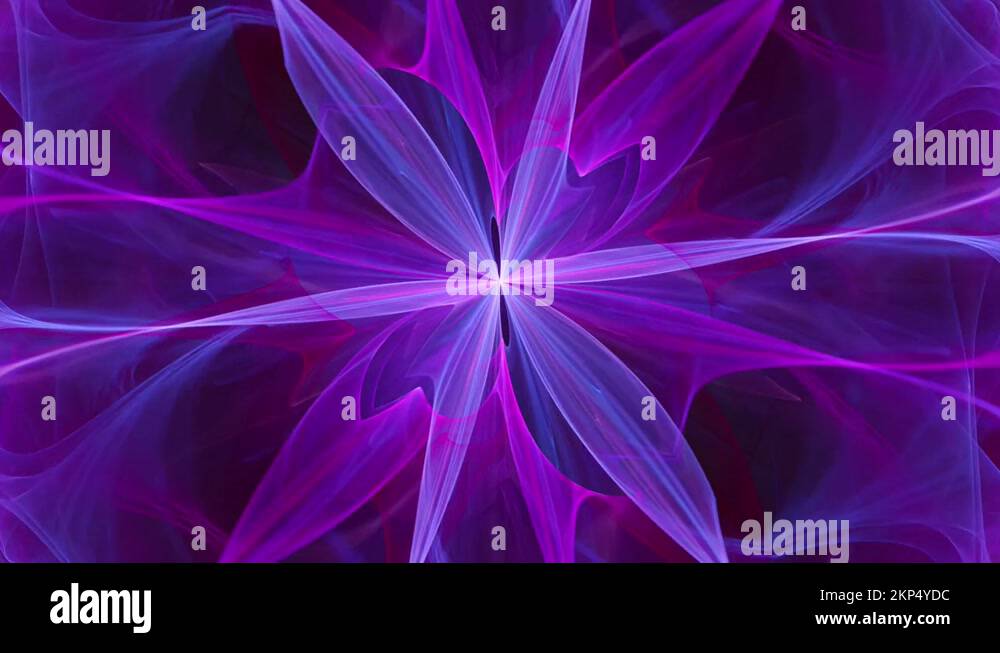 Spiral flower Stock Videos & Footage - HD and 4K Video Clips - Alamy