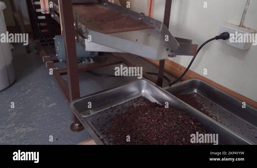 Winnowing Cocoa Beans Stock Videos And Footage Hd And 4k Video Clips
