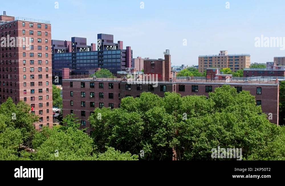 Nycha Stock Videos & Footage - HD and 4K Video Clips - Alamy