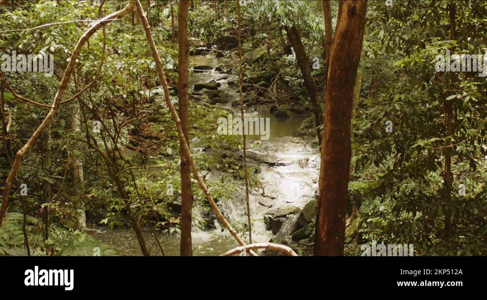 Winding vines Stock Videos & Footage - HD and 4K Video Clips - Alamy