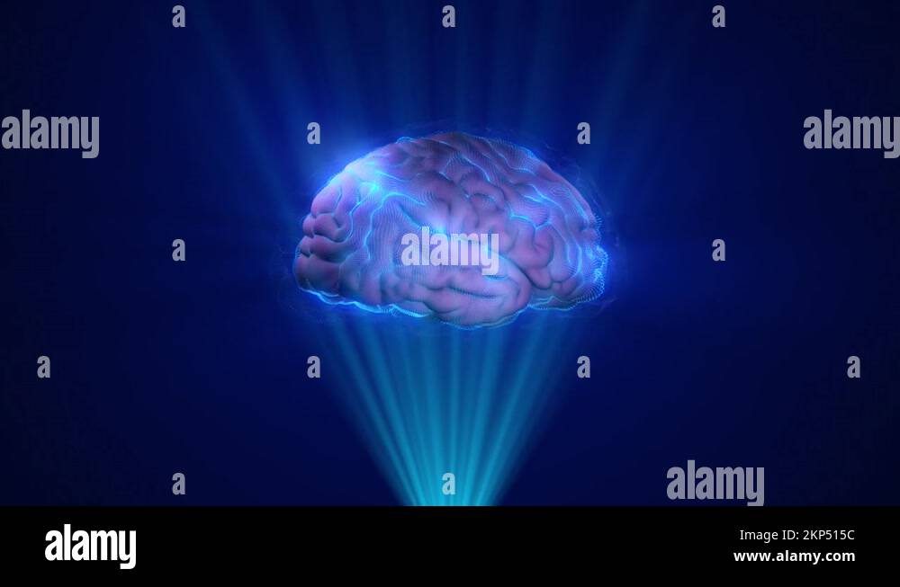 Research on human brain Stock Videos & Footage - HD and 4K Video Clips ...