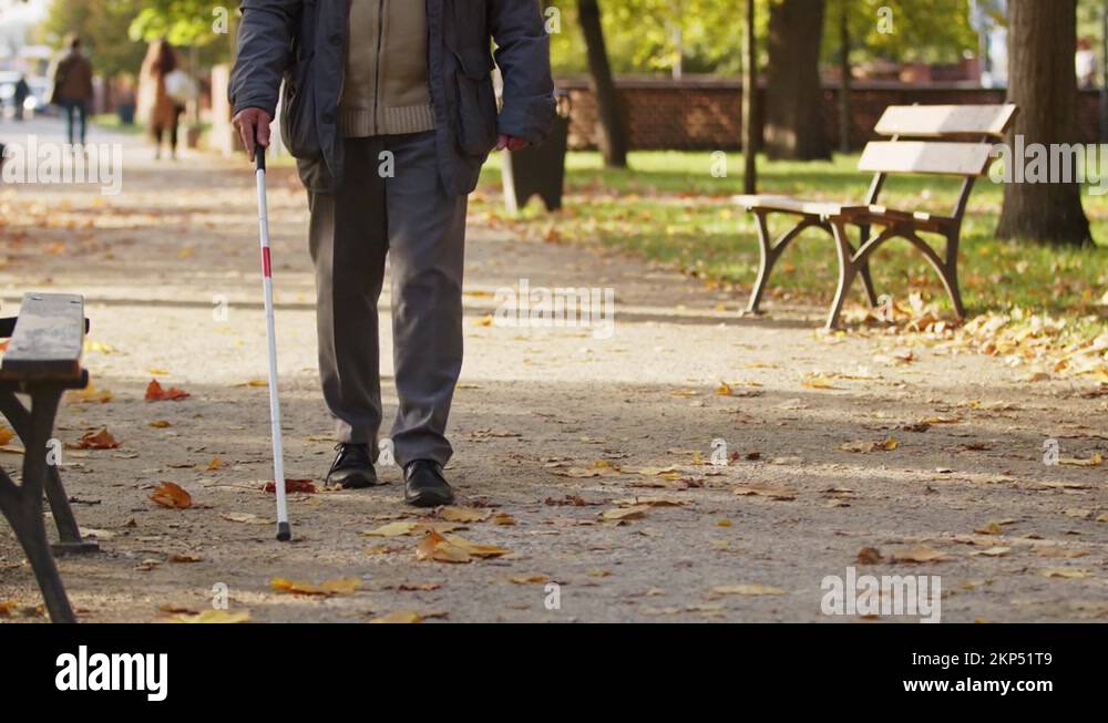 Horizontal blind Stock Videos & Footage - HD and 4K Video Clips - Alamy