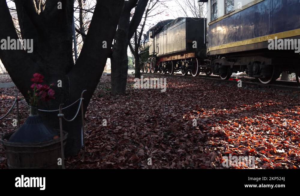 Italian locomotive Stock Videos & Footage - HD and 4K Video Clips - Alamy