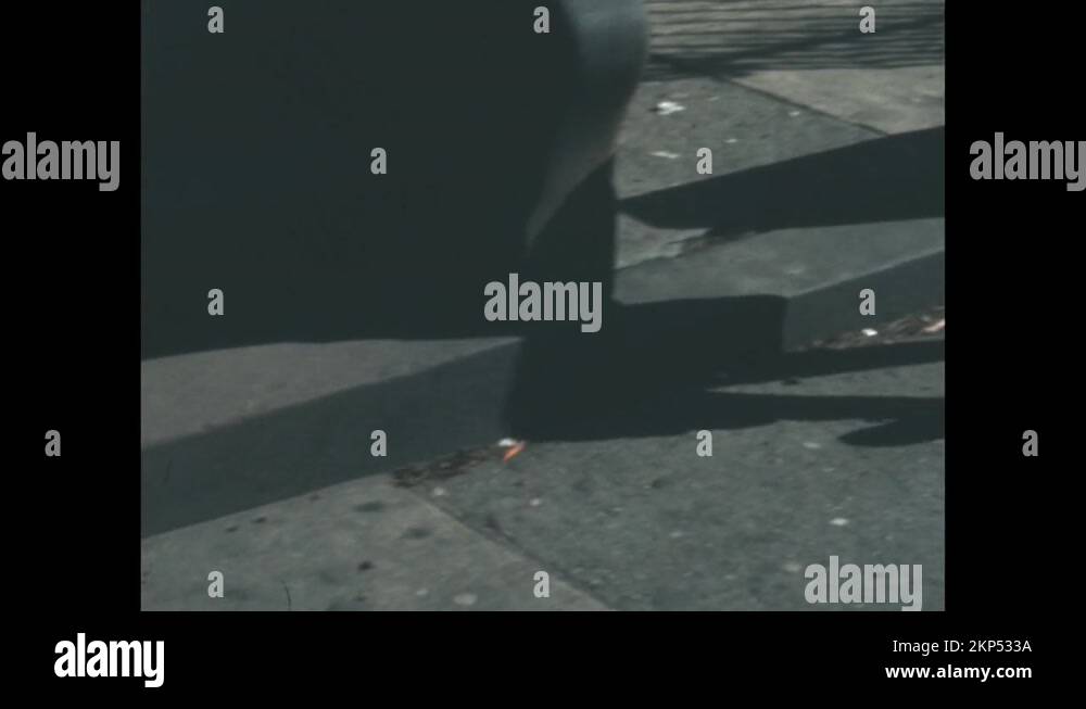 Boy shadow walking Stock Videos & Footage - HD and 4K Video Clips - Alamy