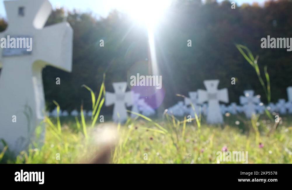 Memorial in memory of the victims of World War II in Ukraine. Cemetery ...