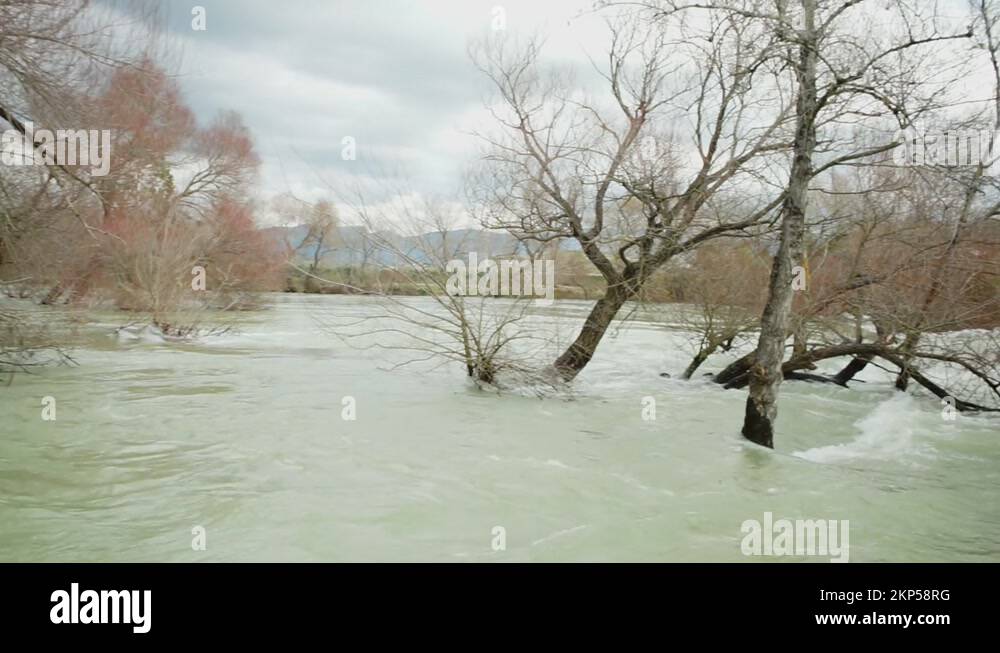 River flooding trees Stock Videos & Footage - HD and 4K Video Clips - Alamy