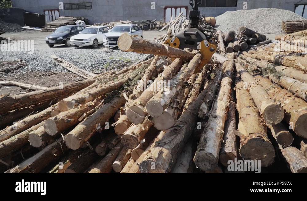 Process Of Stacking Timber Material In Pile By Industrial Logging ...