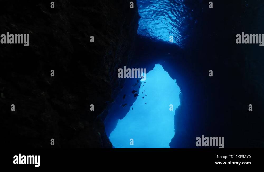 cave diving underwater exploring caves with fish scenery sun beams and ...
