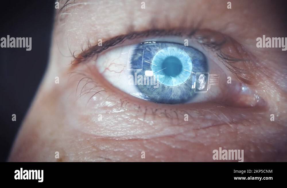Biometric retinal scan Stock Videos & Footage - HD and 4K Video Clips ...