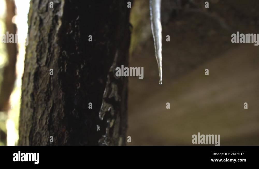 Structure of melting icicle Stock Videos & Footage - HD and 4K Video ...
