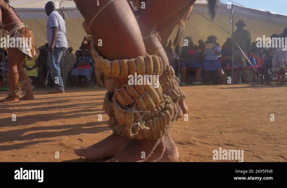 Traditional leg Stock Videos & Footage - HD and 4K Video Clips - Alamy