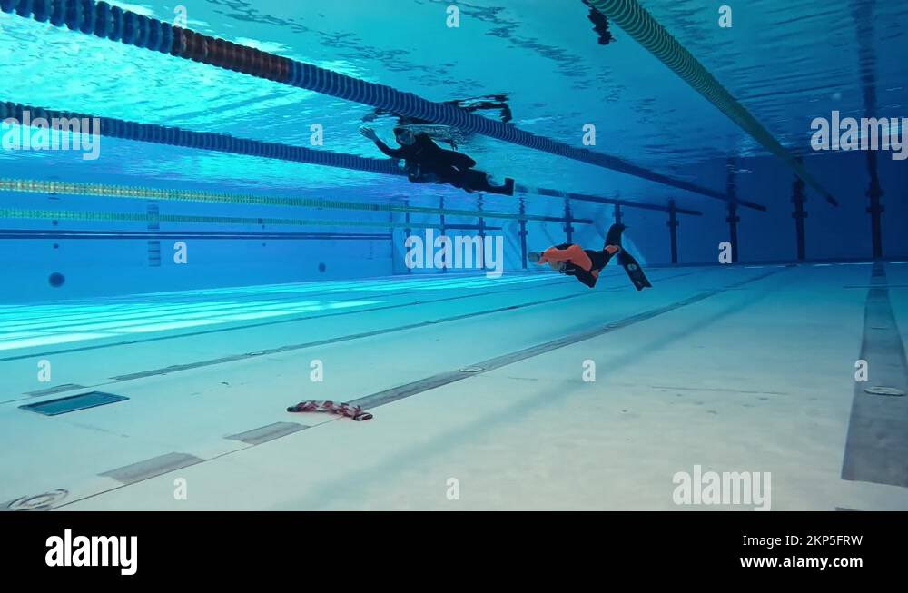 Photo competition Stock Videos & Footage - HD and 4K Video Clips - Alamy