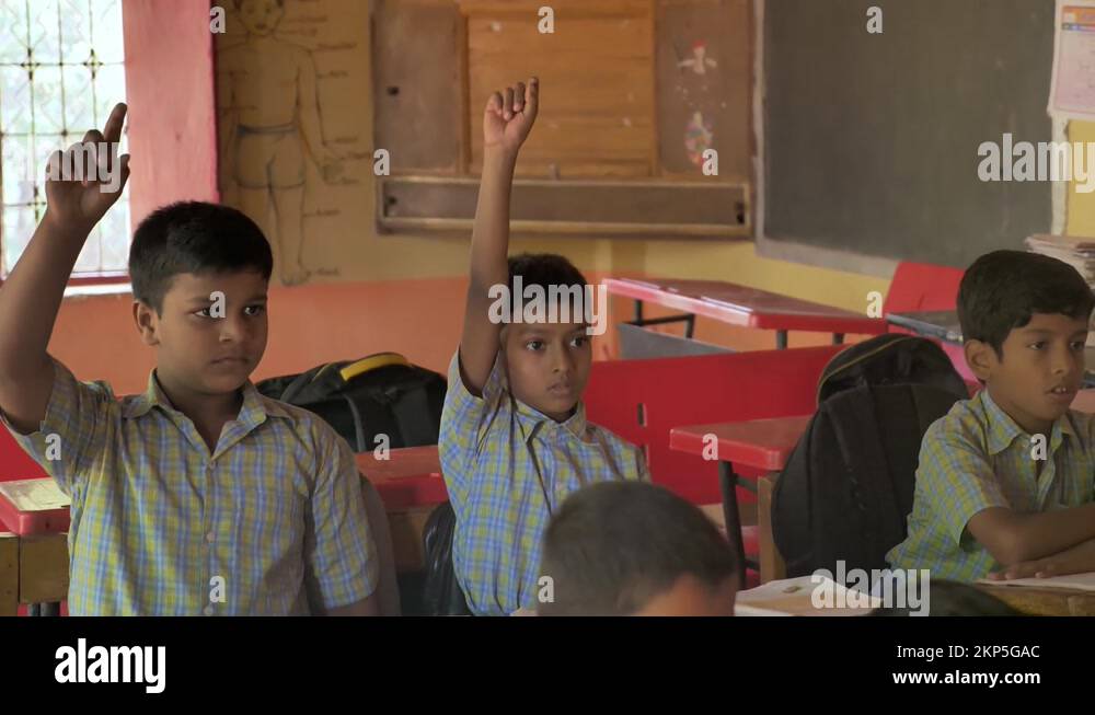 Children classroom raising hand Stock Videos & Footage - HD and 4K ...
