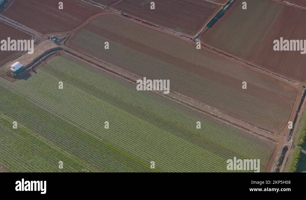 Agriculture in new zealand Stock Videos & Footage - HD and 4K Video ...