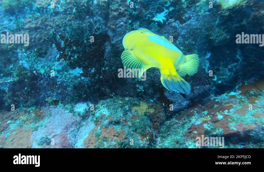 Archipelago bay Stock Videos & Footage - HD and 4K Video Clips - Alamy