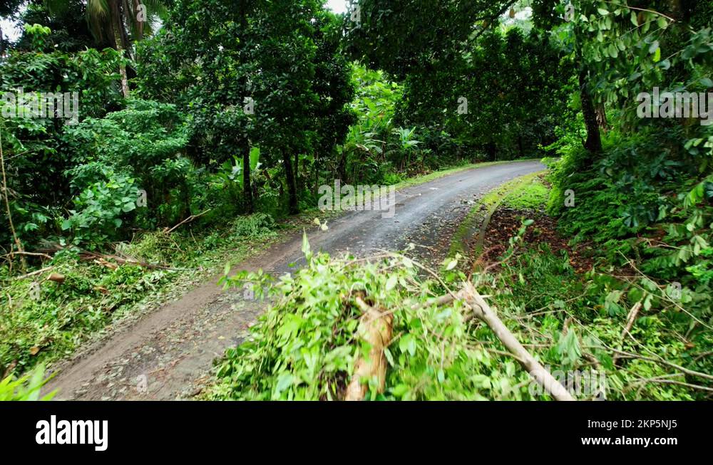 Obstacle is the way Stock Videos & Footage - HD and 4K Video Clips - Alamy