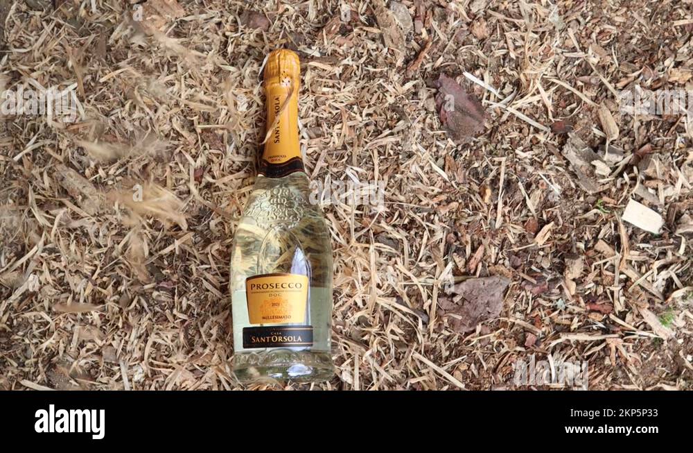 Prosecco bottle Stock Videos & Footage - HD and 4K Video Clips - Alamy