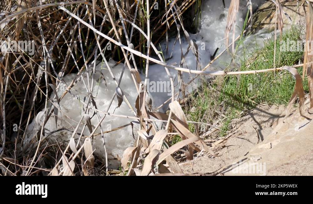 Polluted water channel Stock Videos & Footage - HD and 4K Video Clips ...