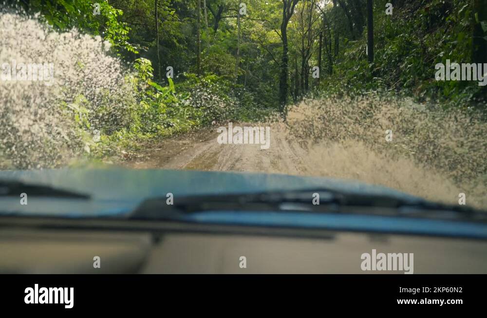 Jeep driving through tropical rainforest Stock Videos & Footage - HD ...