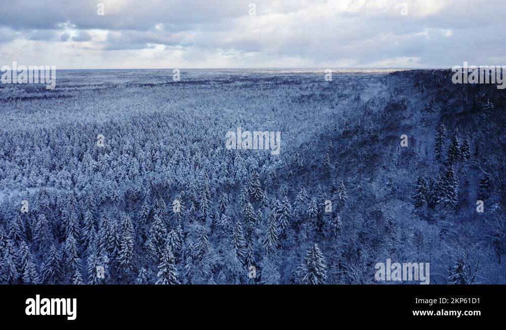 Europe snow forest Stock Videos & Footage - HD and 4K Video Clips - Alamy