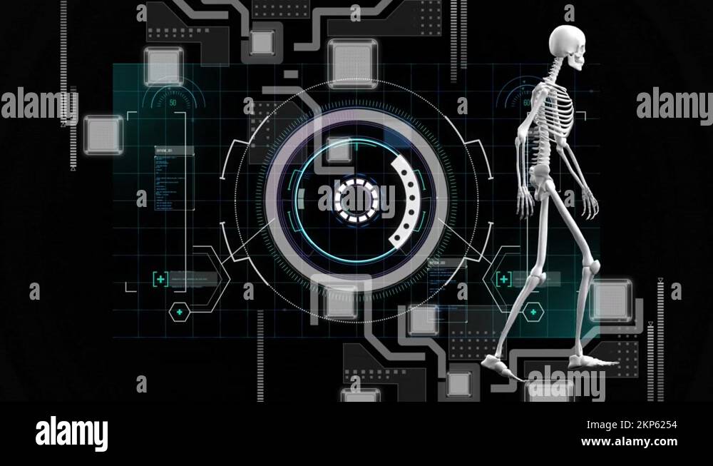 Black digital skeleton Stock Videos & Footage - HD and 4K Video Clips ...