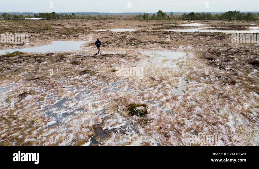 A solo man walking across a frozen wetland, bog during winter. Recorded ...