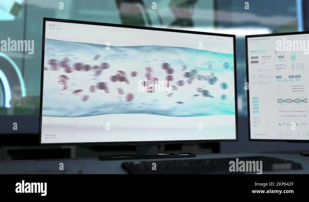 Visualization of the research system studying the red blood cells of a ...