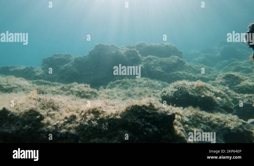 floating underwater between two rocks in a seabed with fish and sun ...
