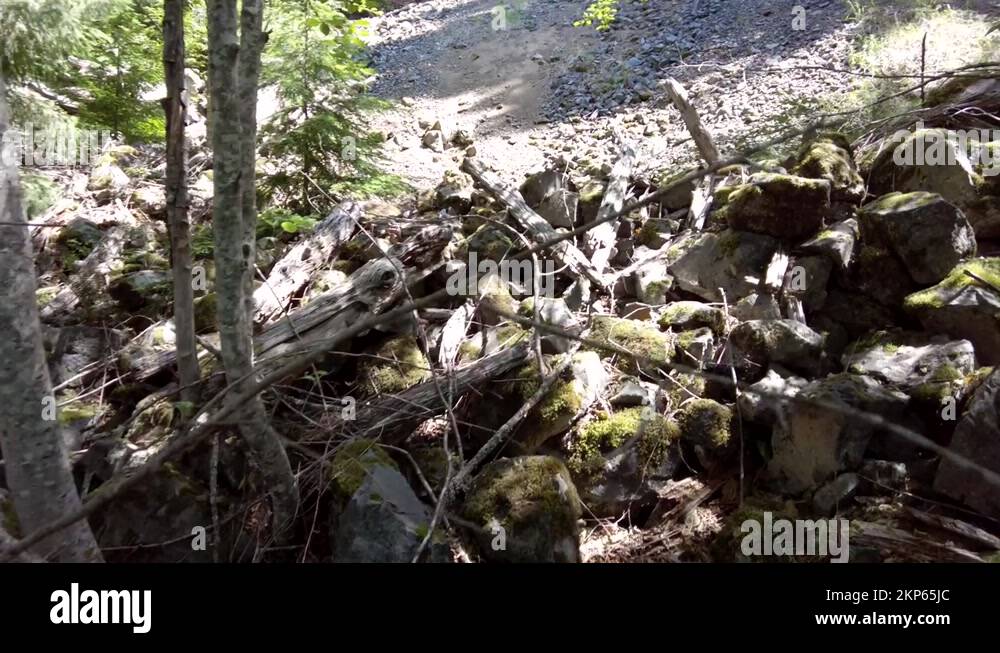 Hiker Looks up at a Rock Slide Beside an Old Logging Road - Thunder ...