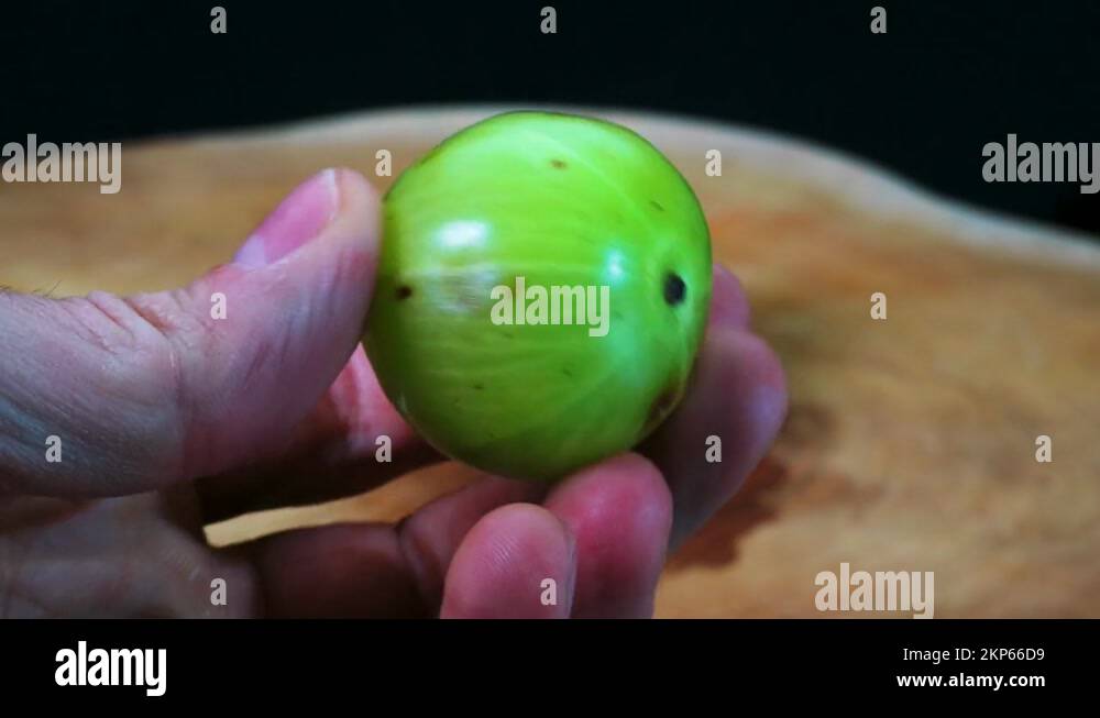 Amla Stock Videos & Footage - HD and 4K Video Clips - Alamy