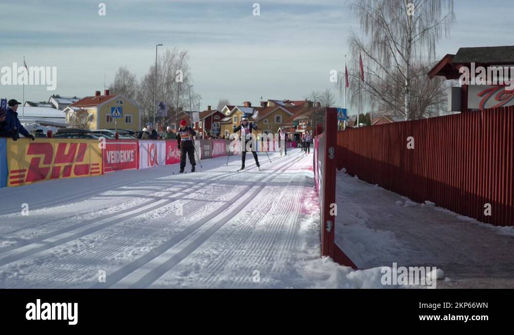 Cross Country Skier Arriving Finish Line at Vasaloppet Tjejvasan Race ...