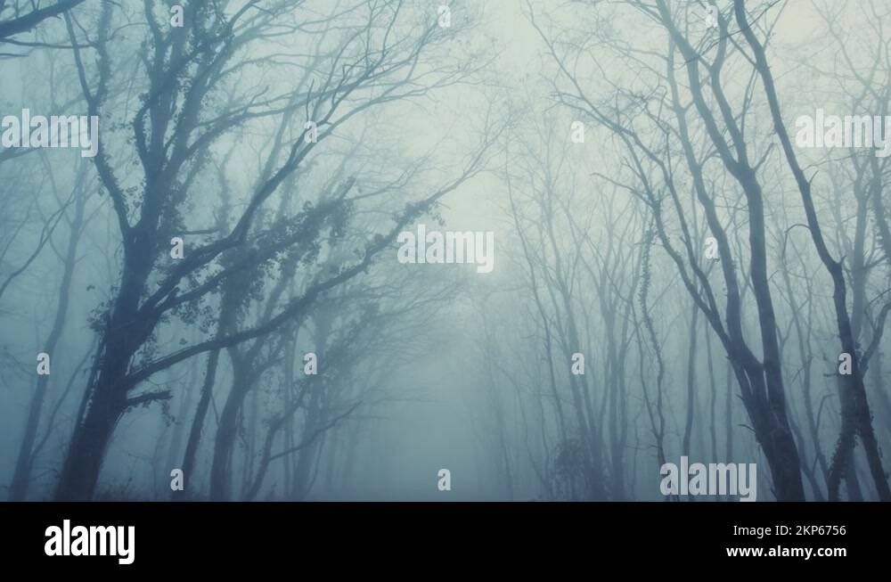 Horror movie forest Stock Videos & Footage - HD and 4K Video Clips - Alamy