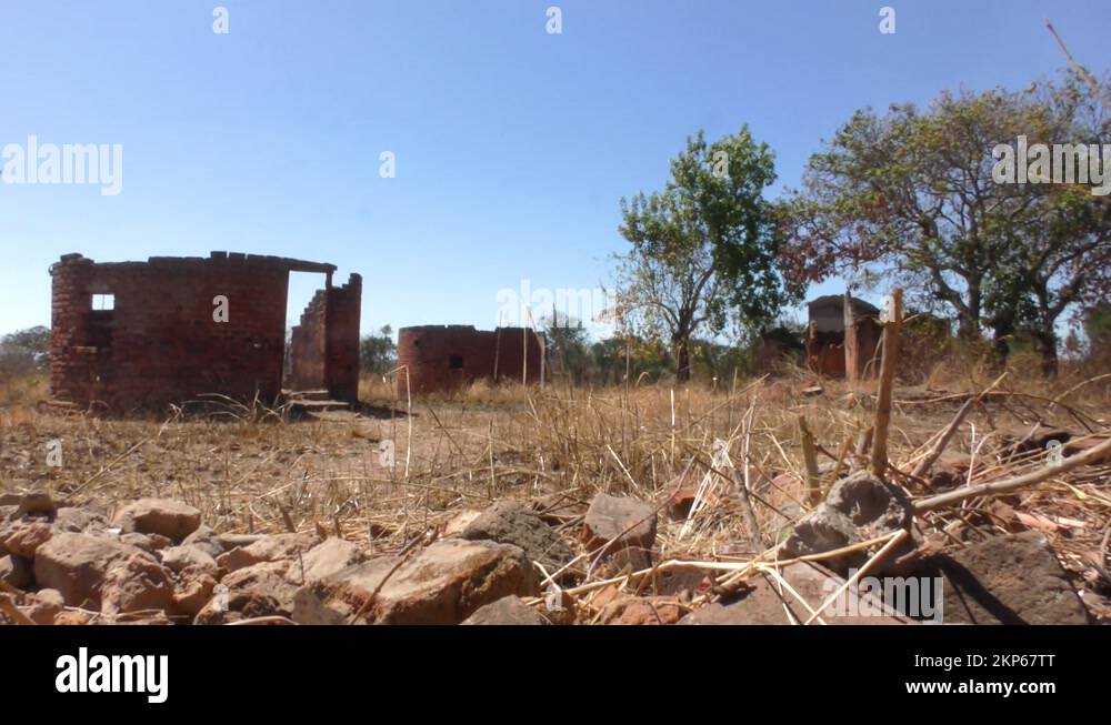 Zimbabwe agriculture Stock Videos & Footage - HD and 4K Video Clips - Alamy