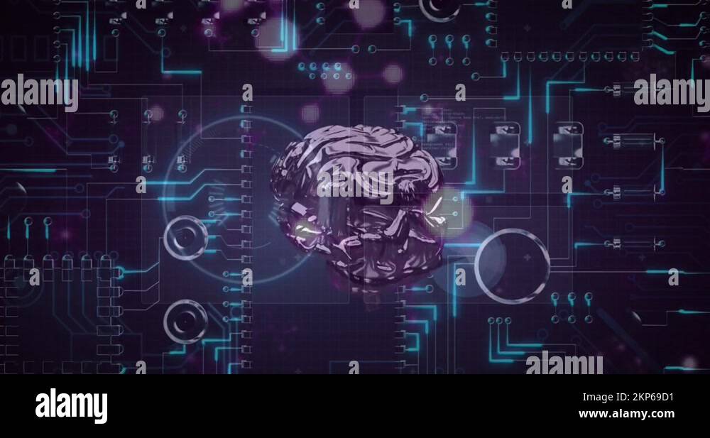 Human brain and circuit board Stock Videos & Footage - HD and 4K Video Clips - Alamy