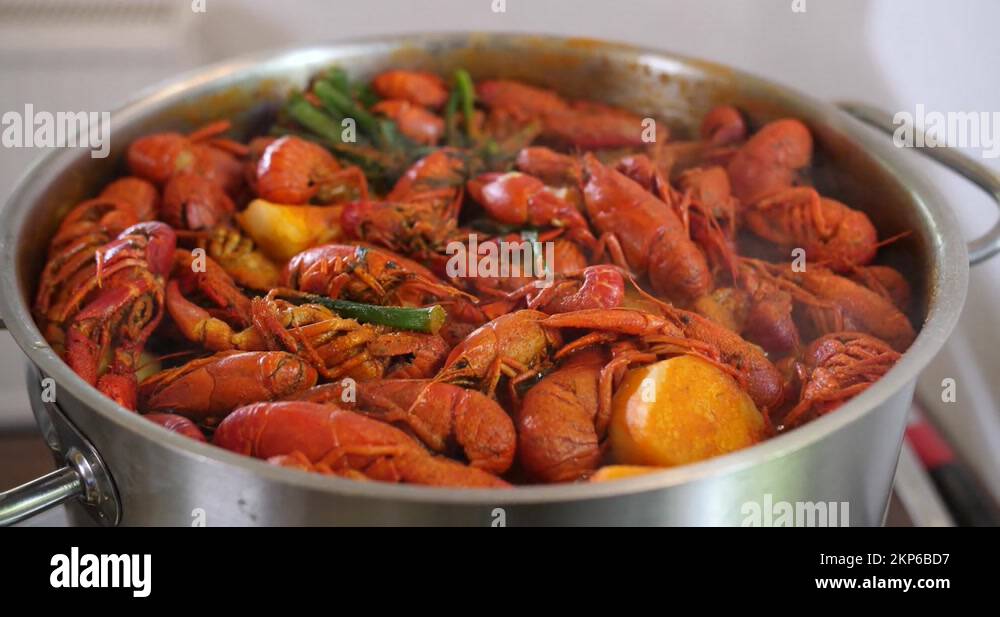 Prawn and crayfish Stock Videos & Footage - HD and 4K Video Clips - Alamy