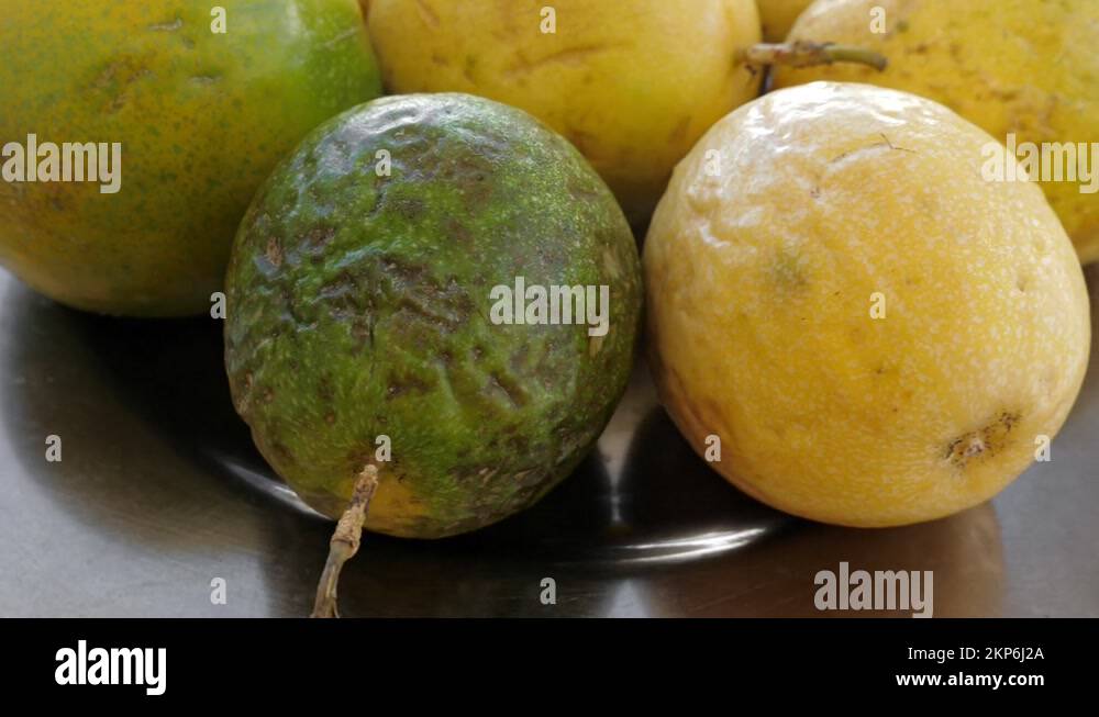 Chinola Stock Videos & Footage - HD and 4K Video Clips - Alamy