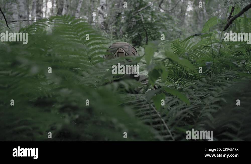 Soldier sits in ambush in dense deciduous forest, with Kolashnikov ...