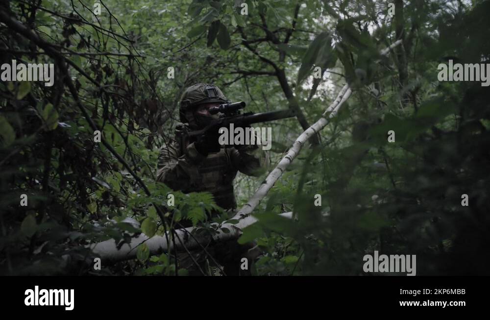 Soldier with a sniper rifle, in dense forest, protects the front line ...