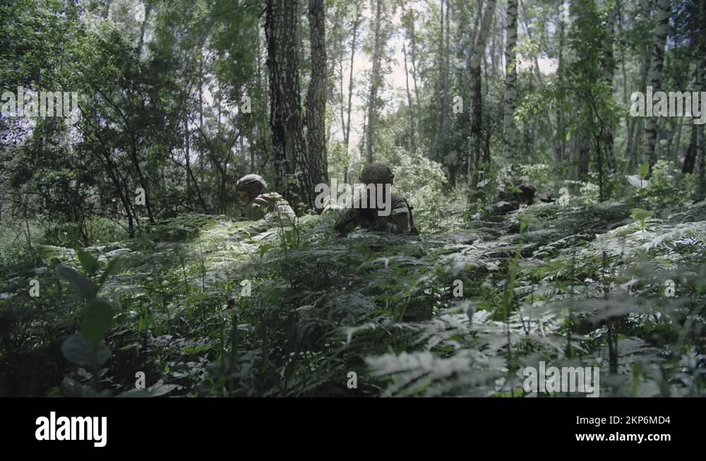 Soldiers with weapons, in an ambush in a dense forest, protect the ...