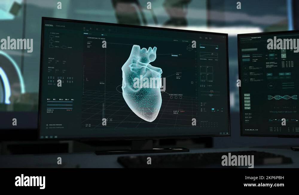 Anatomical organ Stock Videos & Footage - HD and 4K Video Clips - Alamy