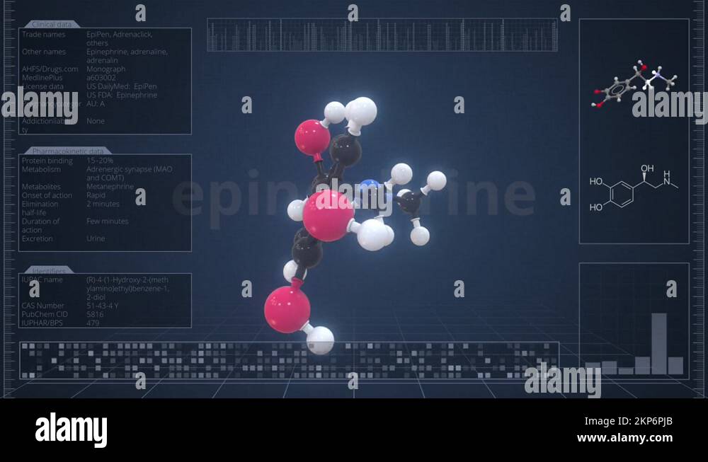 Overview of the molecule of epinephrine on the computer screen. Loopable 3d Stock Video Footage ...