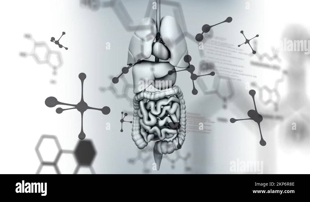 Falling organs Stock Videos & Footage - HD and 4K Video Clips - Alamy