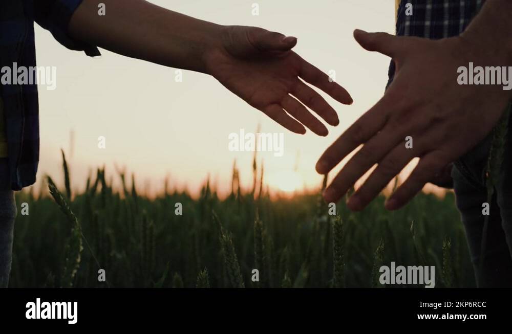 Business teamwork handshake Stock Videos & Footage - HD and 4K Video ...