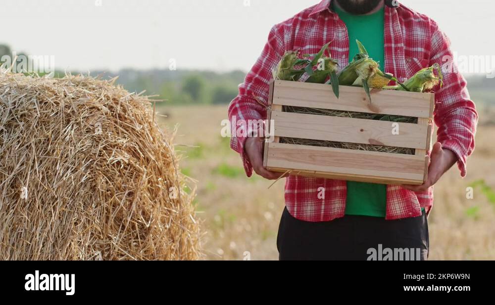 Man lifting heavy box Stock Videos & Footage - HD and 4K Video Clips ...