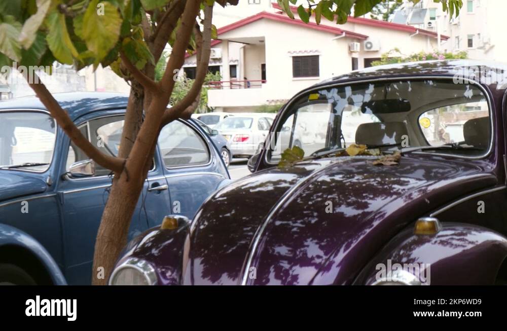 Cars parked under tree Stock Videos & Footage - HD and 4K Video Clips ...