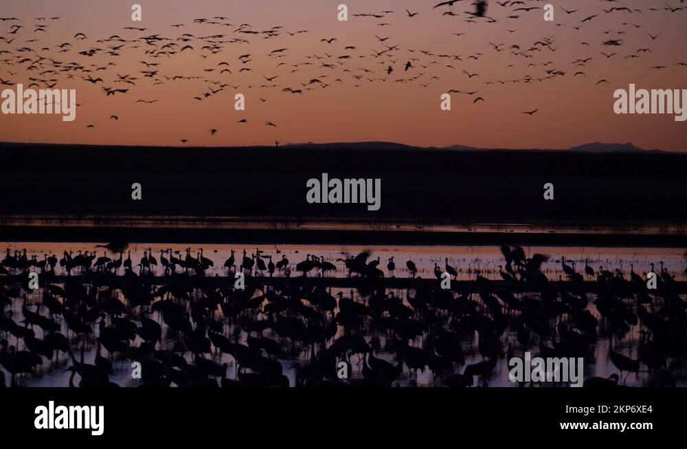 Raid background Stock Videos & Footage - HD and 4K Video Clips - Alamy