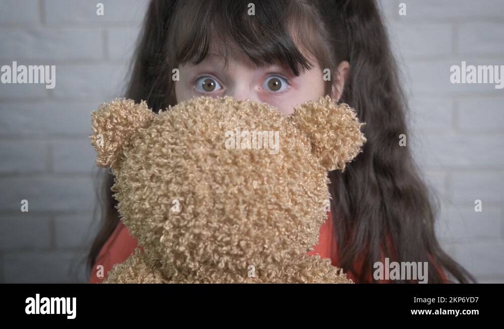 Hide with teddy bear Stock Video Footage - Alamy