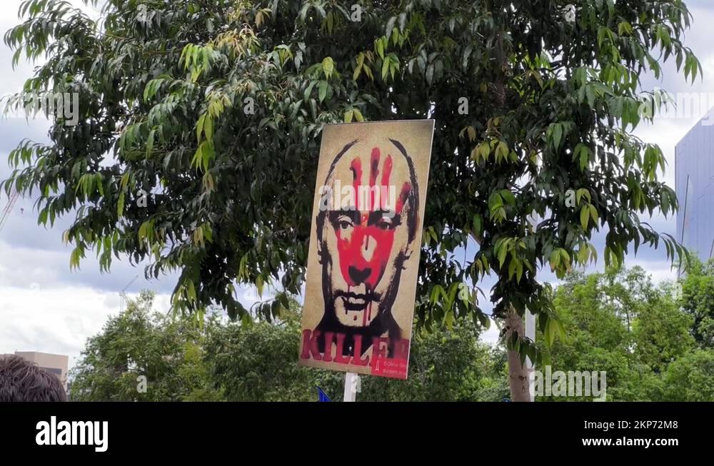 Vladimir putins face Stock Videos & Footage - HD and 4K Video Clips - Alamy